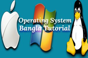 Home - Study With Anis